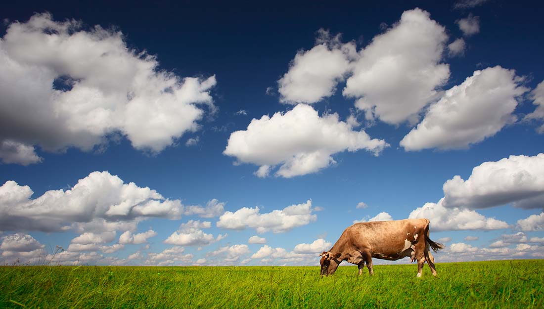 Tatura Milk reference project - KAESER COMPRESSORS Australia
